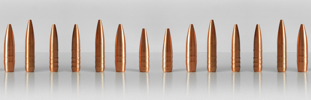Monolithics Bullets – Hasler – Competition & Hunting Bullets