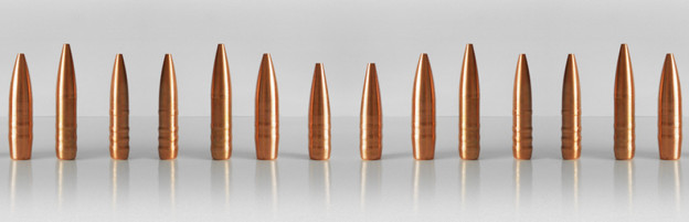 Monolithics Bullets – Hasler – Competition & Hunting Bullets
